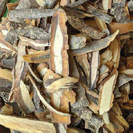 Exposing the Hepatotoxicity of Medicinal Plants: A Review of Copalchi ...