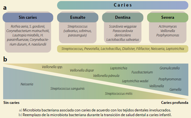 Microbioma oral: variabilidad entre regiones y poblaciones