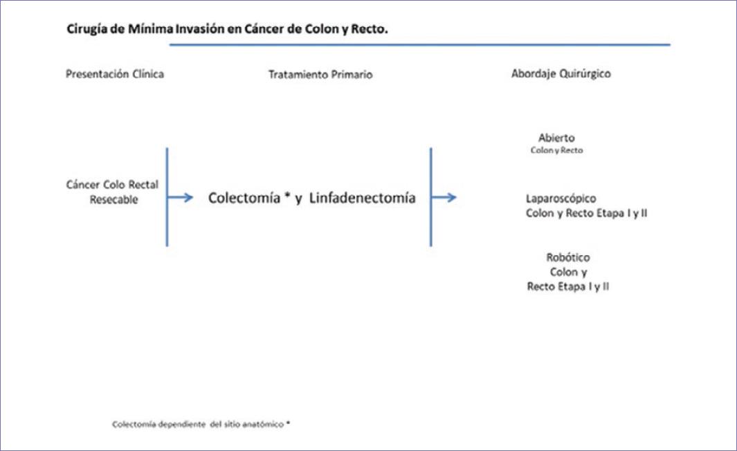 Recomendaciones para diagnóstico y tratamiento del cáncer de colon y ...