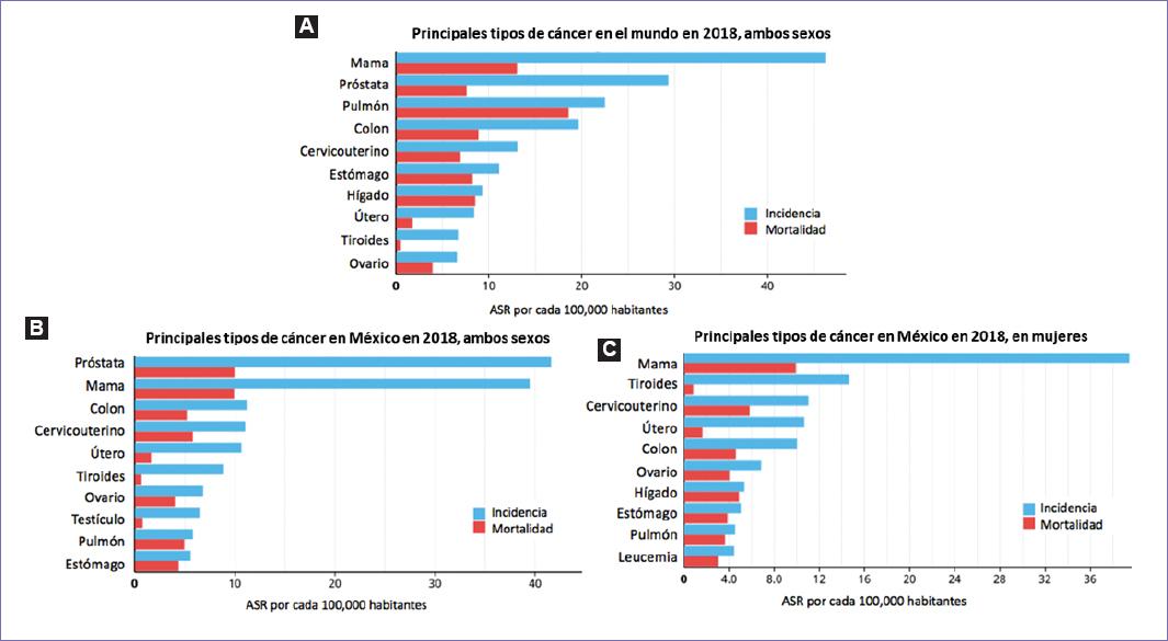 Estado actual del cáncer de mama en México: principales tipos y ...