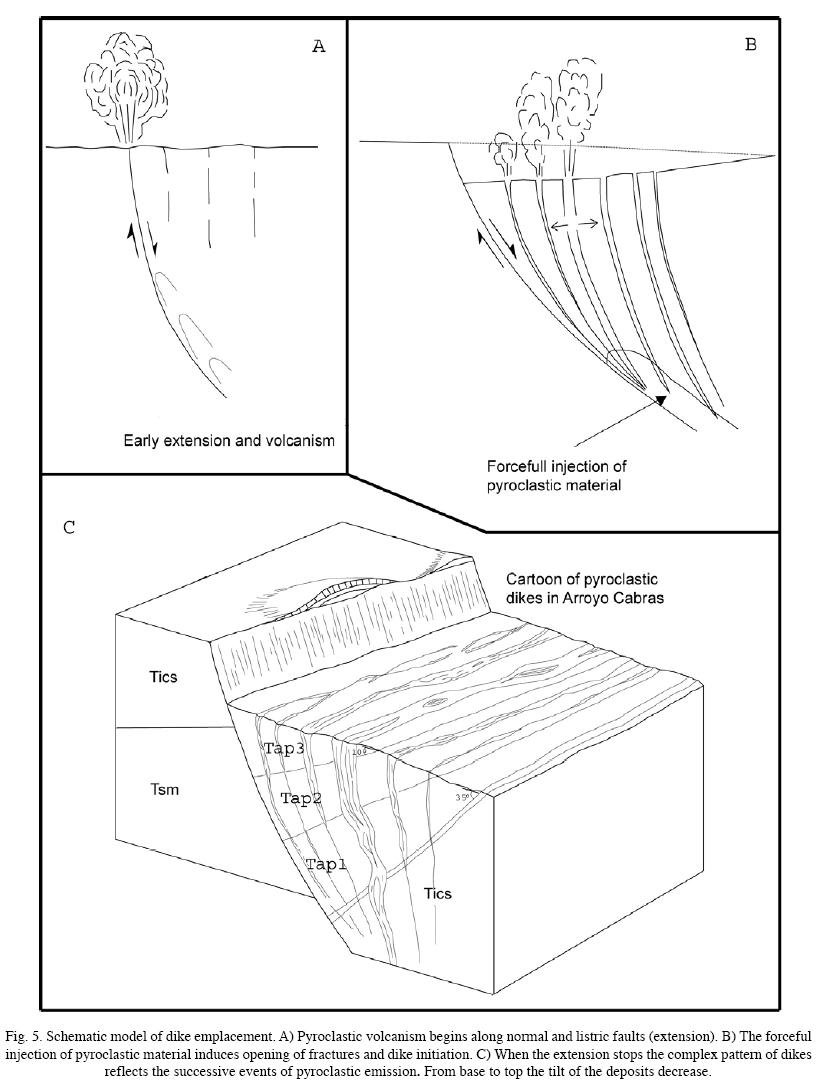 The pyroclastic dikes of the Tertiary San Luis Potosí volcanic field ...