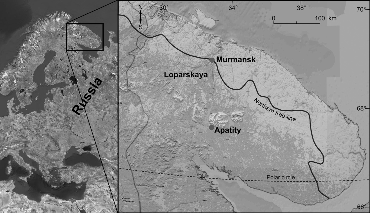Impact of powerful volcanic eruptions and solar activity on the climate ...