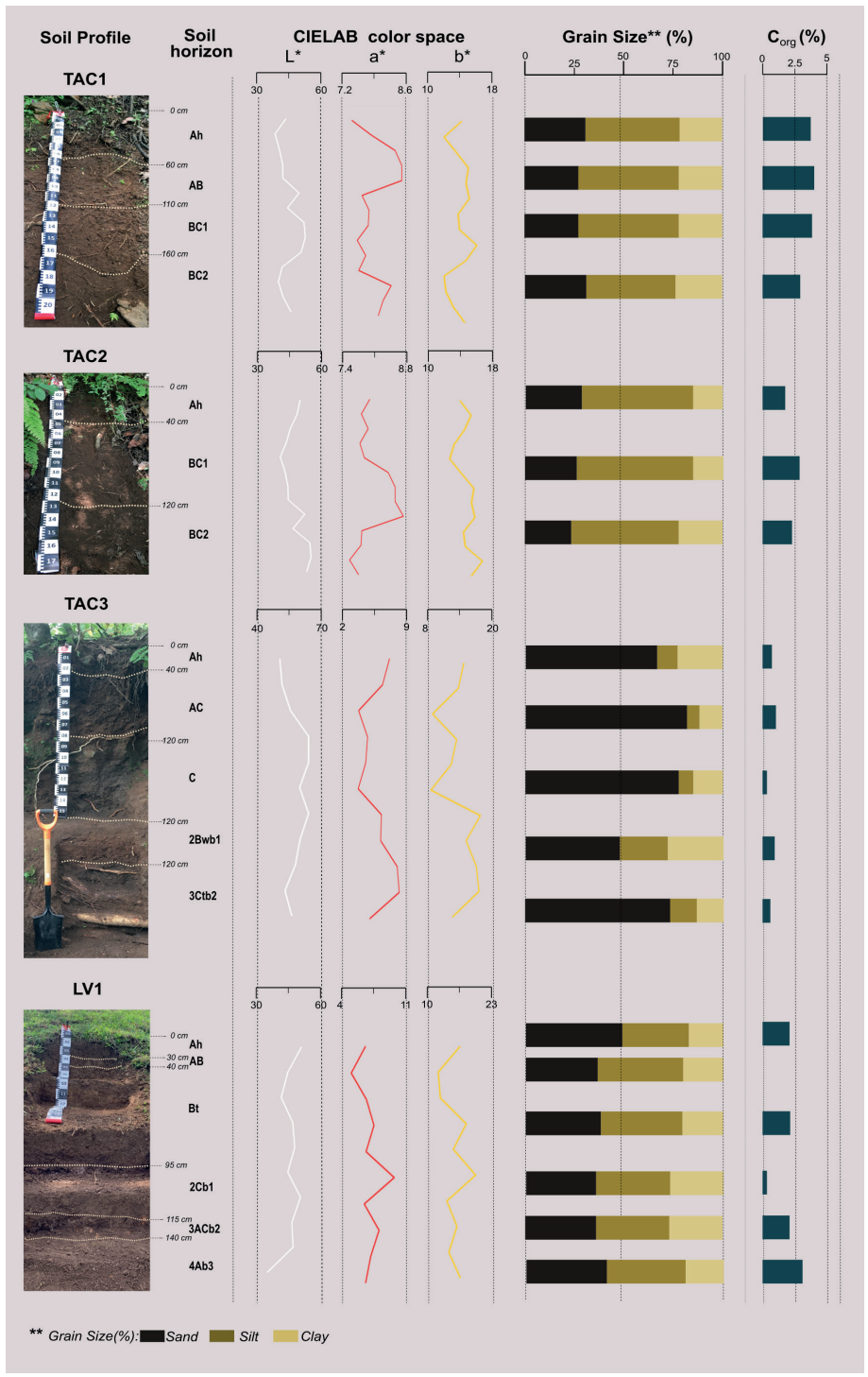 Holocene landscape transformation of lake basins of Central Mexico ...