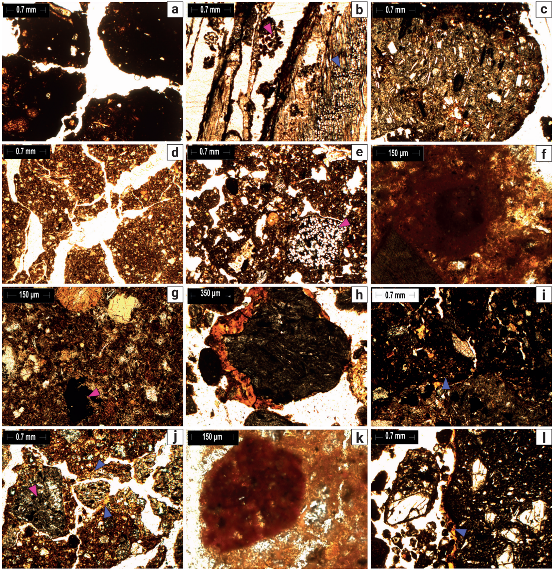 Holocene landscape transformation of lake basins of Central Mexico ...