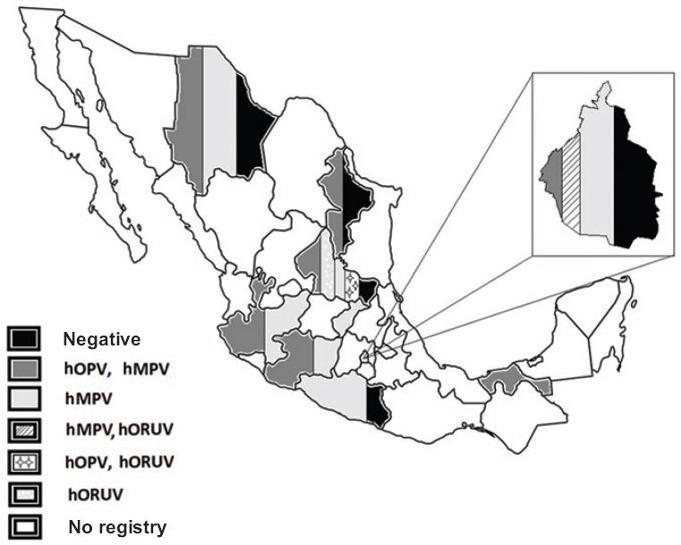 Respiratory infections and coinfections: geographical and population ...