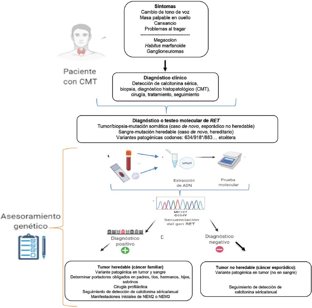 Diagnóstico mutacional del gen RET y la medicina de precisión en México