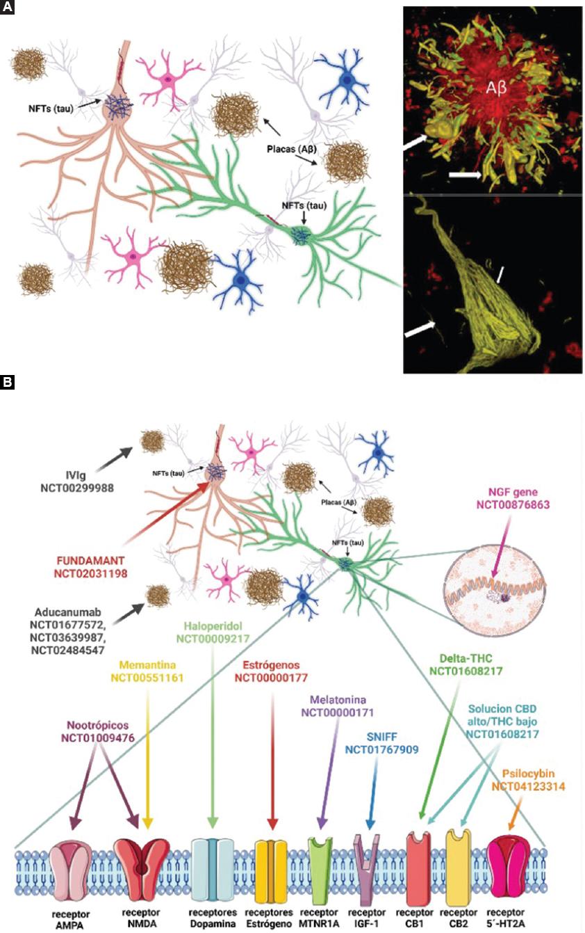 Etiología, factores de riesgo, tratamientos y situación actual de la ...