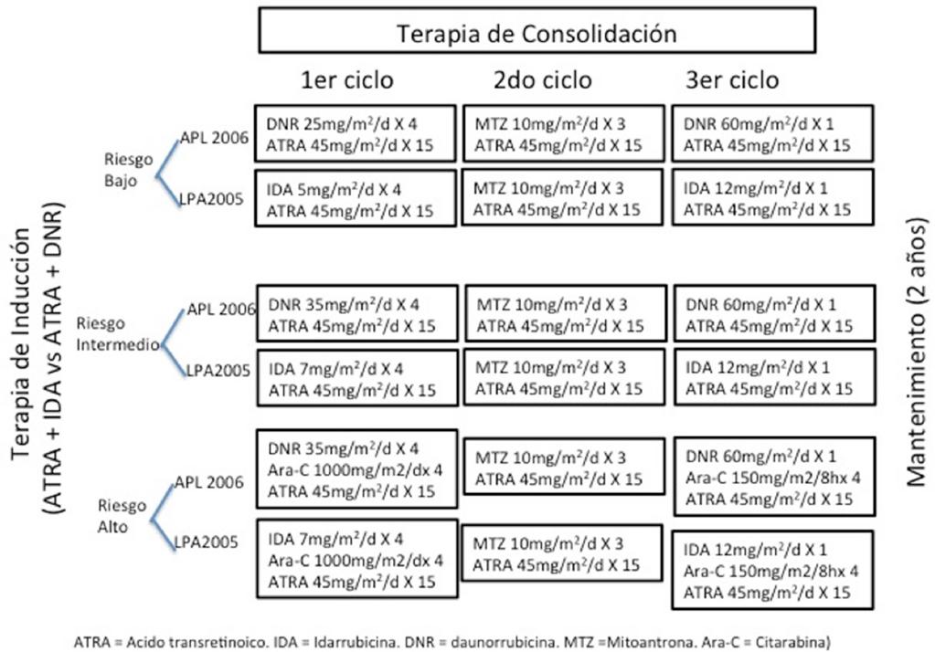 Consenso de leucemia mieloide aguda en México