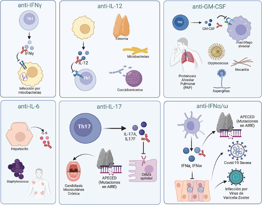 Inmunodeficiencias secundarias relacionadas con la presencia de ...