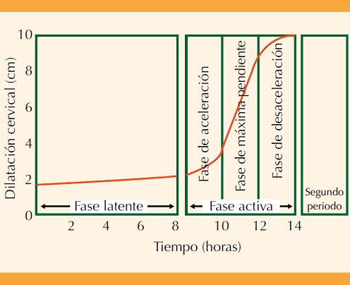 Descripción de la curva de trabajo de parto en un hospital de tercer ...