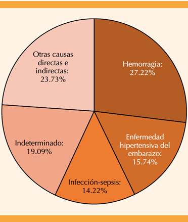 Tendencia y distribución regional de la mortalidad materna en el Perú ...
