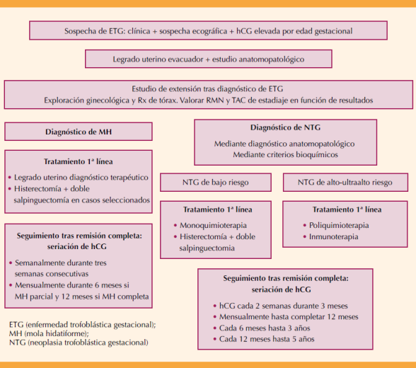 Diagnóstico y tratamiento quirúrgico de una paciente con una neoplasia ...