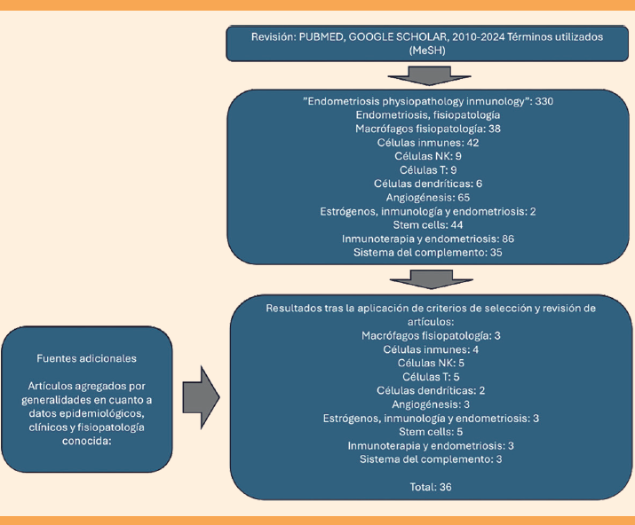 Inmunología, el fulcro de la endometriosis. Fisiopatología y blancos ...