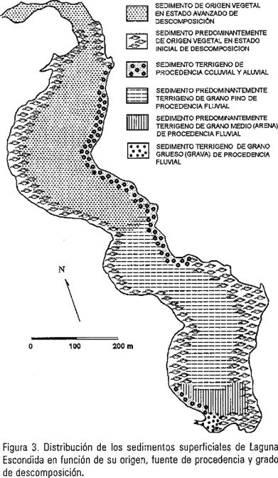 Textura, composición y contenido de materia orgánica de los sedimentos ...