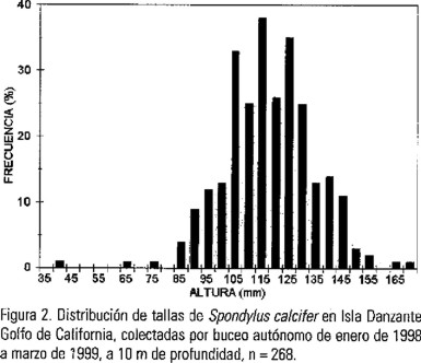 Tópicos sobre la biología de la almeja burra Spondylus calcifer ...