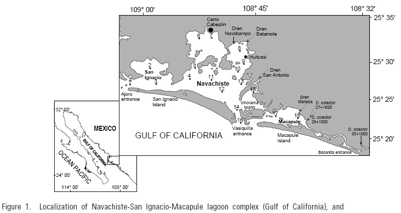 Phytoplankton response to nutrient runoff in a large lagoon system in ...