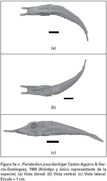Catálogo de los ejemplares tipo de peces depositados en la colección ...