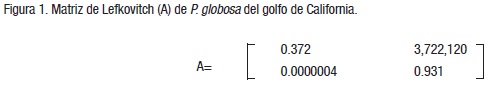 Análisis de elasticidad de Panopea globosa con base en la matriz de ...
