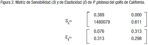 Análisis de elasticidad de Panopea globosa con base en la matriz de ...