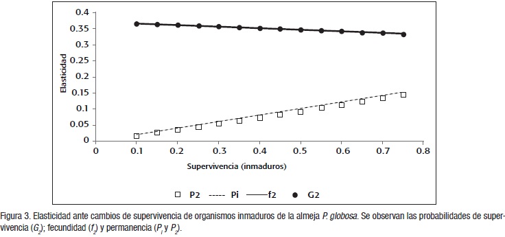 Análisis de elasticidad de Panopea globosa con base en la matriz de ...