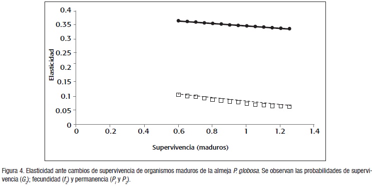 Análisis de elasticidad de Panopea globosa con base en la matriz de ...