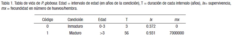 Análisis de elasticidad de Panopea globosa con base en la matriz de ...
