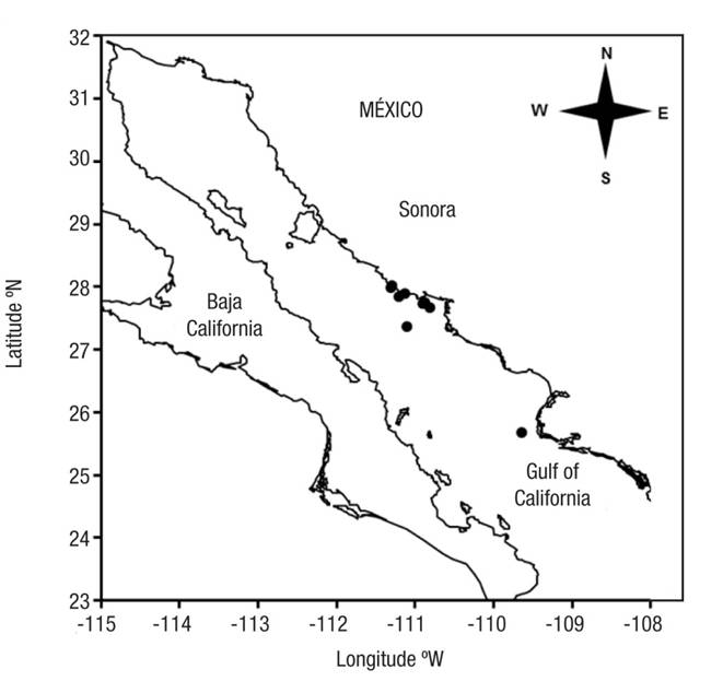 New bathymetric record for the fish bighead mora, Laemonema verecundum ...