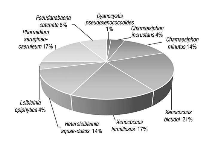Ecología de cianoprocariontes epífitas que habitan ambientes lóticos de ...