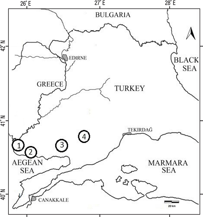 Comparative analysis of chemical and bacterial distribution of coastal ...