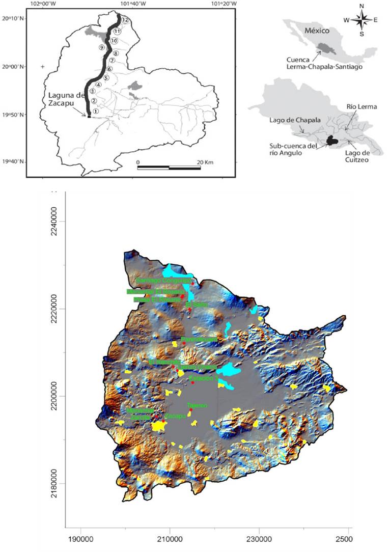 Riqueza y distribución de las diatomeas epilíticas indicadoras de ...