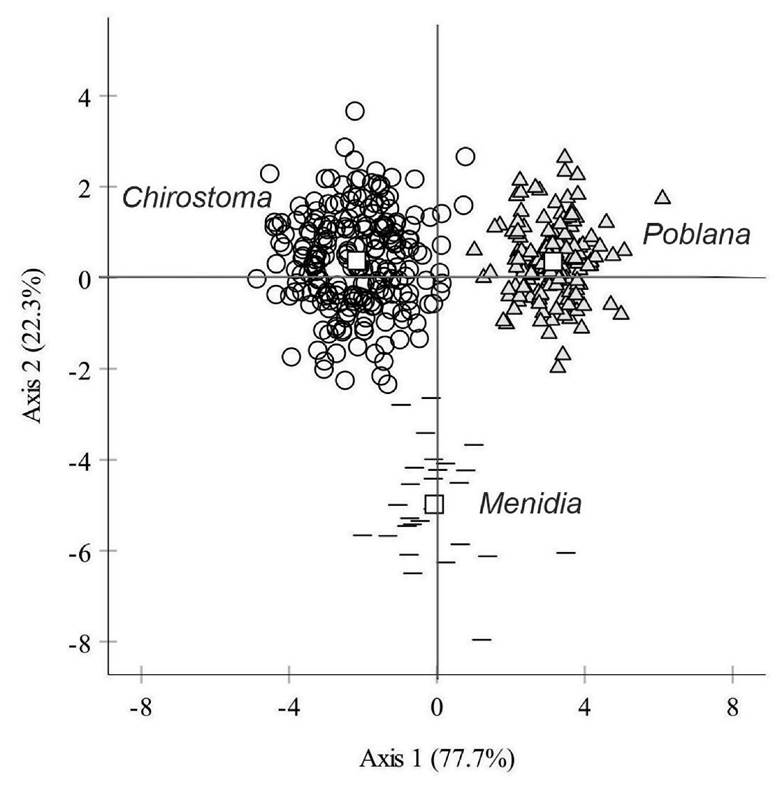 Morphometric differentiation of the genera Poblana, Chirostoma and ...