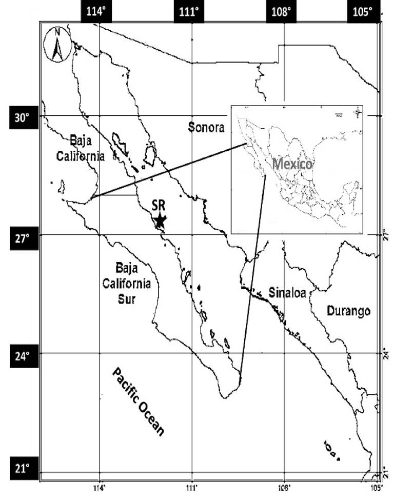 Detección de Perkinsus marinus en una población silvestre del mejillón ...