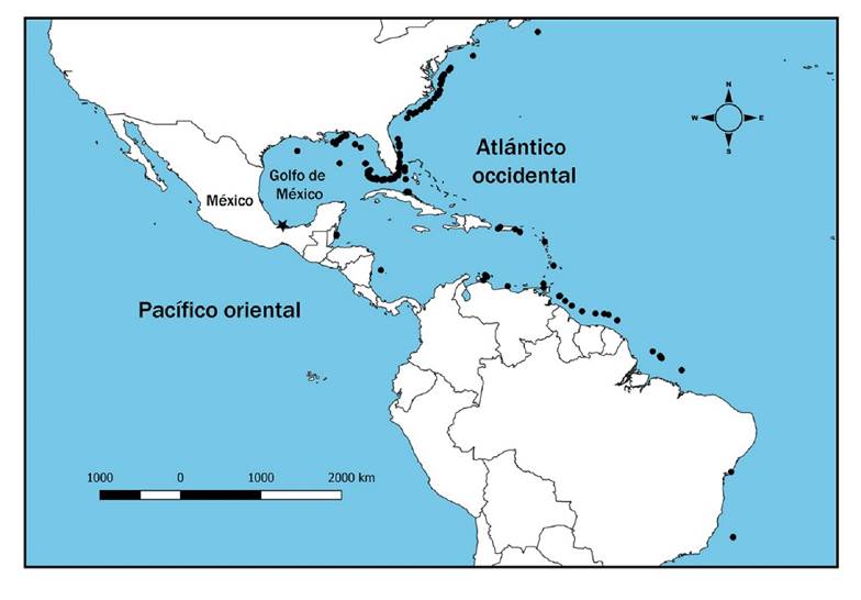 Registro más austral y tamaño récord del Lapón aleta alta, Pontinus ...