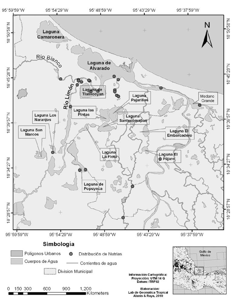 Estimación de la densidad y abundancia de la nutria neotropical (Lontra ...