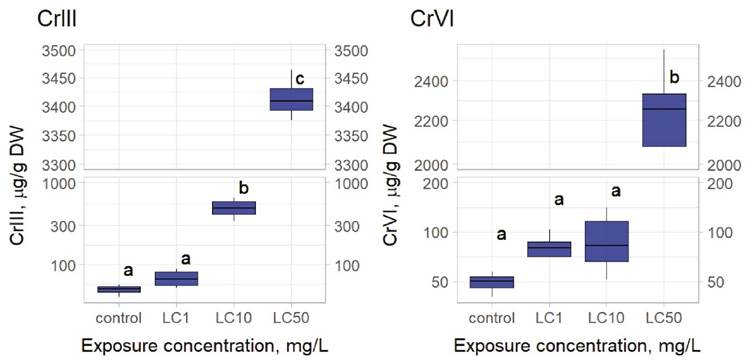 Differential effects on the toxicity and bioconcentration of hexavalent ...
