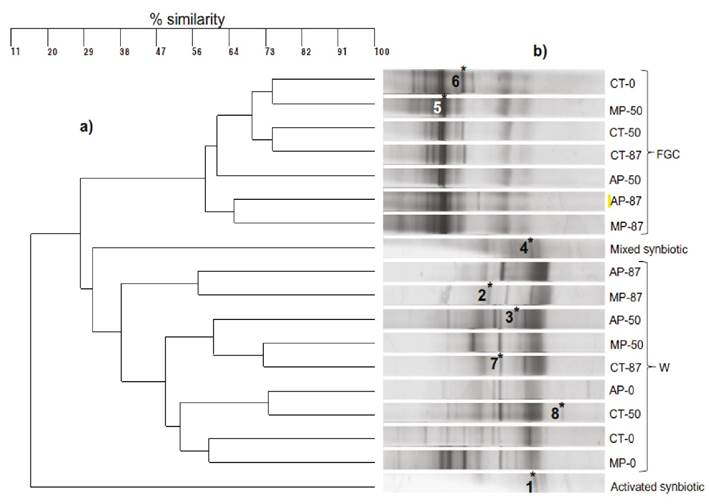 Effect of symbiotic administration on growth and intestinal microbiota ...