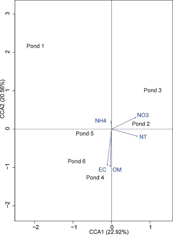 “Diversity and community structure of microbial assemblages from ...