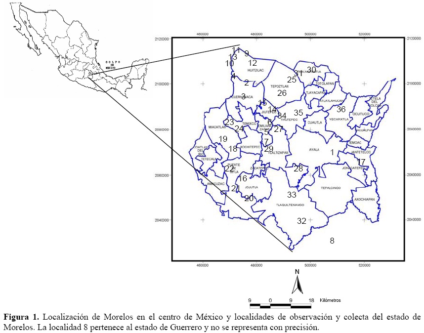 Notas sobre la distribución de algunas aves en Morelos, México