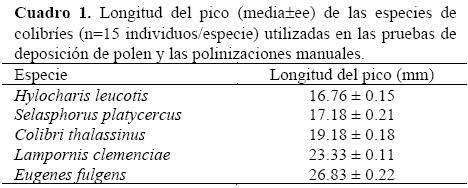 Transporte diferencial de polen por colibríes en una planta diestílica ...