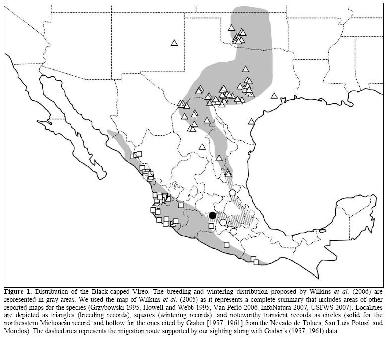 Note on the distribution and migration of the Black-capped Vireo (Vireo ...