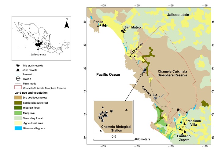 Increased presence of the invasive, exotic Eurasian Collared-Dove ...