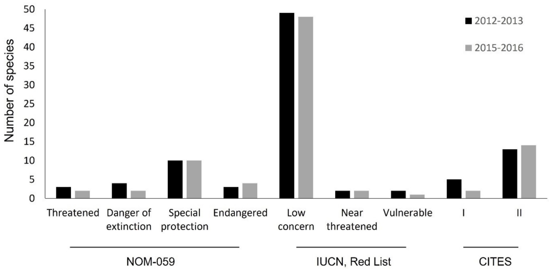 Bird trade in the markets of Mexico City for ornamental and companion use