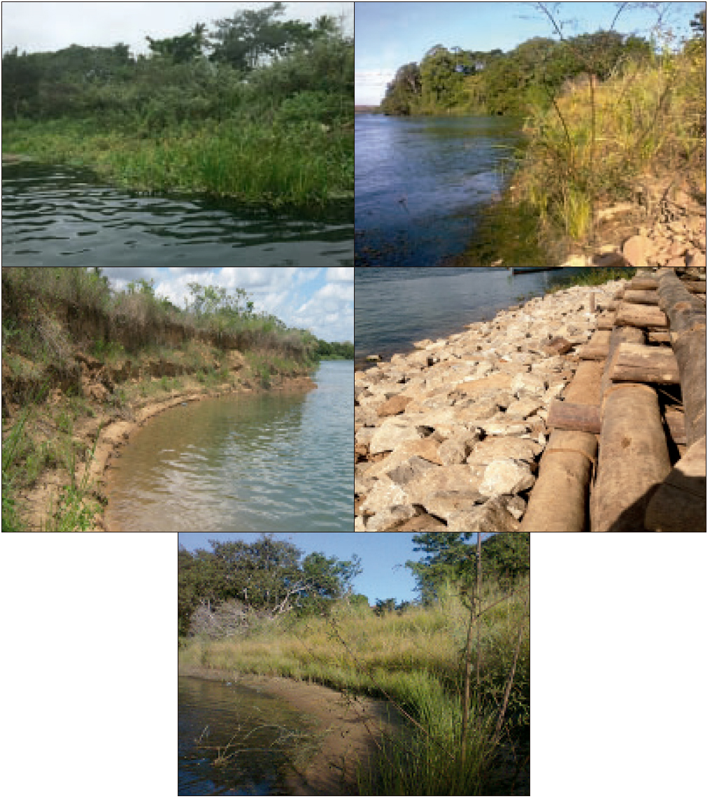 Sediment input from the São Francisco River bank, Northeast Brazil ...
