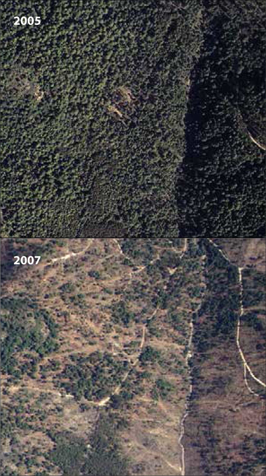 Monitoring changes of forest canopy density in a temperature forest ...