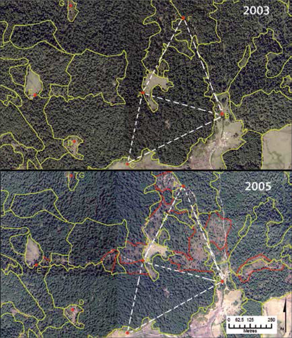 Monitoring changes of forest canopy density in a temperature forest ...