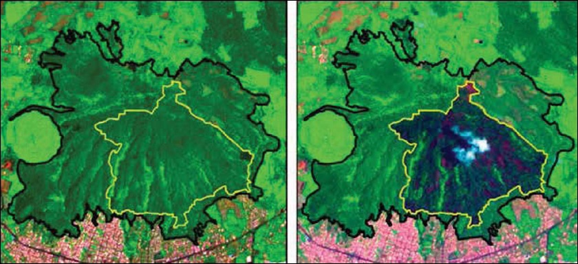 Toward a near-real time forest monitoring system [Technical note]