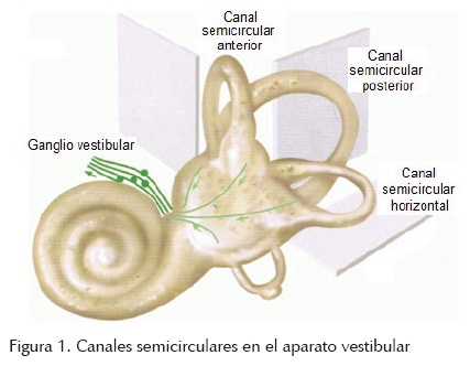 Conductos Semicirculares