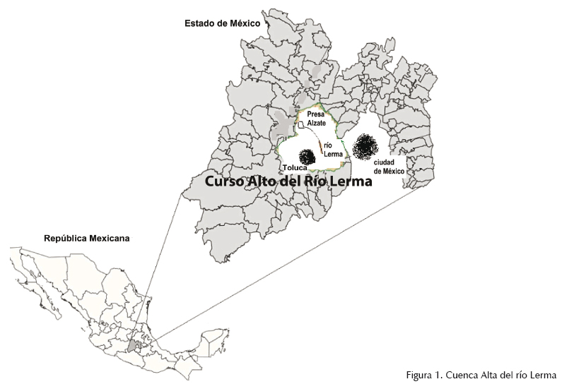 Modelo del transporte y deposición de Fe y Mn en el curso alto del río ...