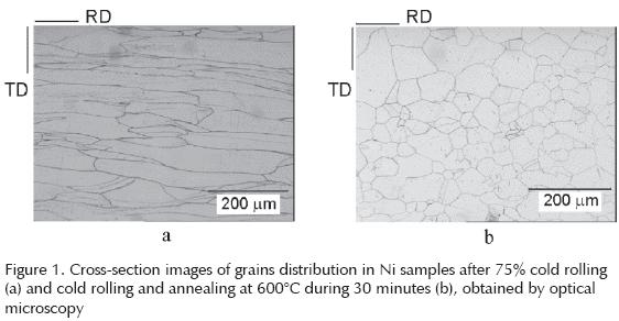 Extinction Phenomenon in X-Ray Diffraction Technique for Texture Analysis