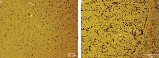 Microstructural Transformation in the Root Pass of Superduplex ...